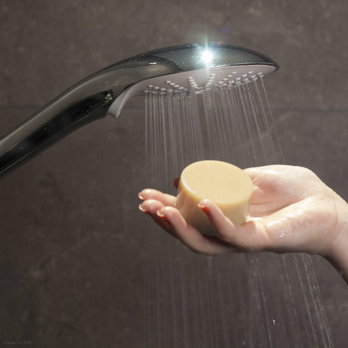 Tea Tree Shampoo puck from Goap